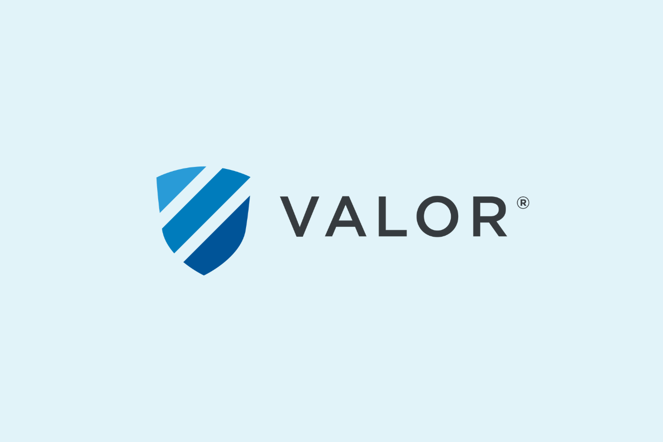 Valor: Your Partner in Asset Management Services
